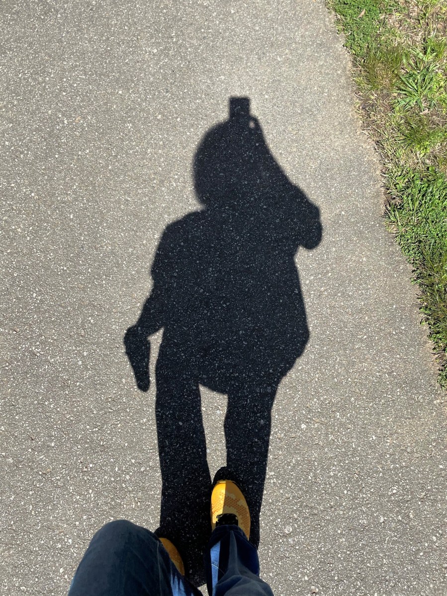 Watch that first step—it’s a doozy! | Comfort du Jour