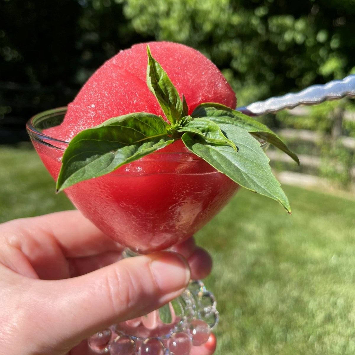 Watermelon-Hibiscus Sorbet | Comfort du Jour